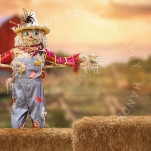 Cute Scarecrow on the Farm, Autumn Backdrop, Cute Halloween, Sunset Hay ...