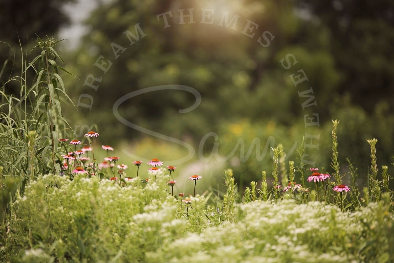 6 Spring Garden Bundle Digital Background Flowering Tree | Etsy