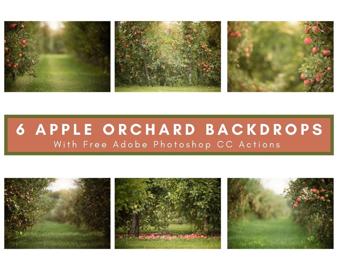6 Apple Orchard Digital Backdrops Bundle - Etsy