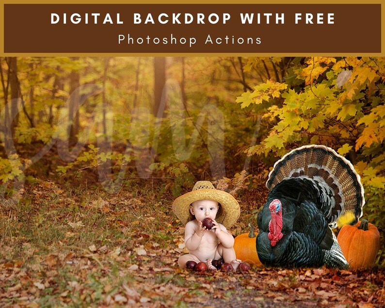 Thanksgiving Turkey in an Autumn Forest Digital Fall Backdrop | Etsy