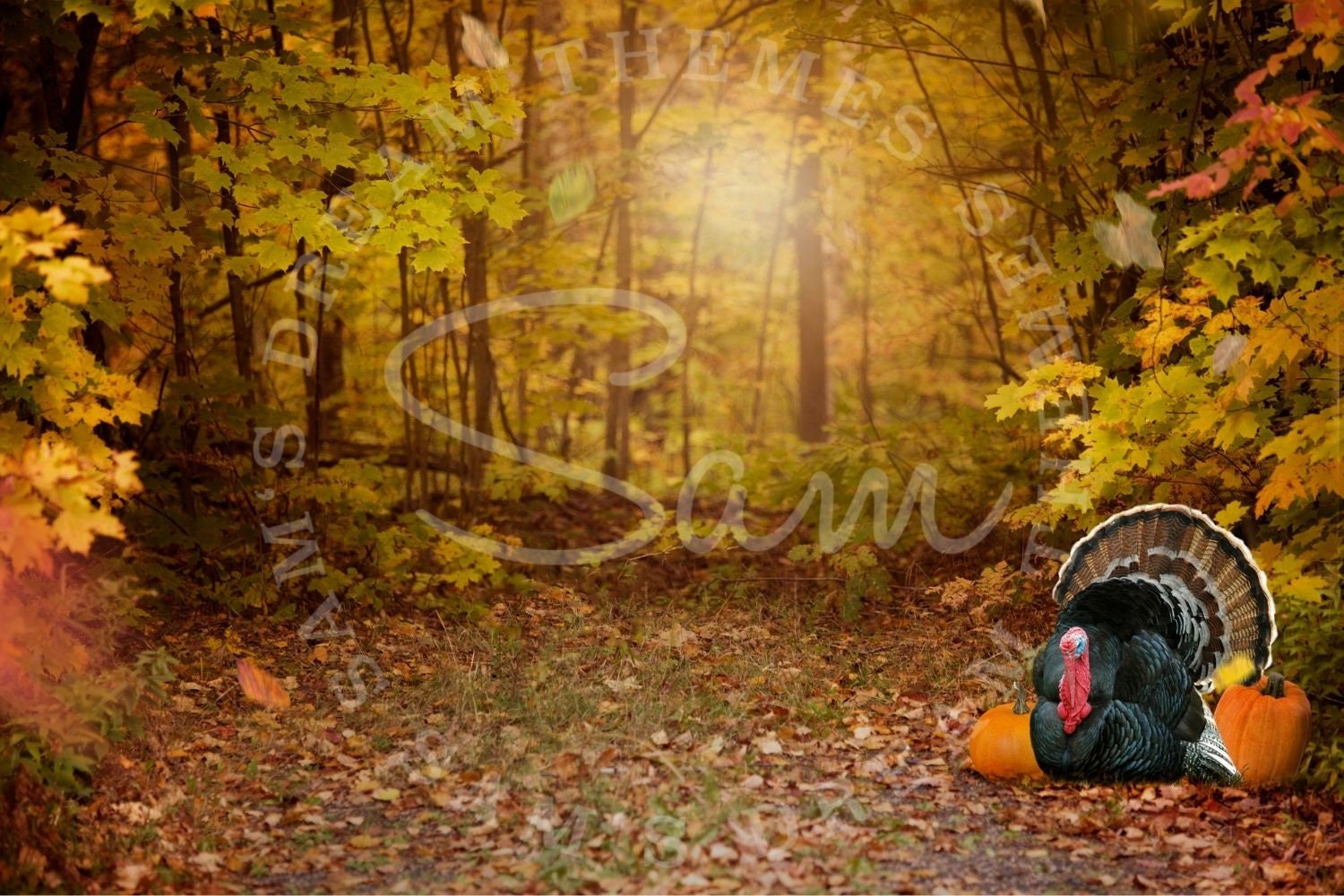 Thanksgiving Turkey in an Autumn Forest Digital Fall Backdrop | Etsy