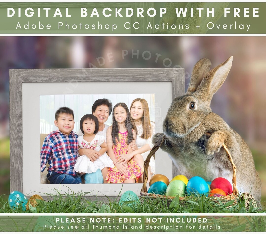 Easter Bunny With Egg Basket and Photo Frame, Easter Backdrop, Photo ...