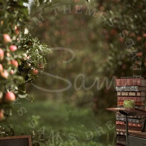 Back to School Picture - Digital Background - Graduation Backdrop ...