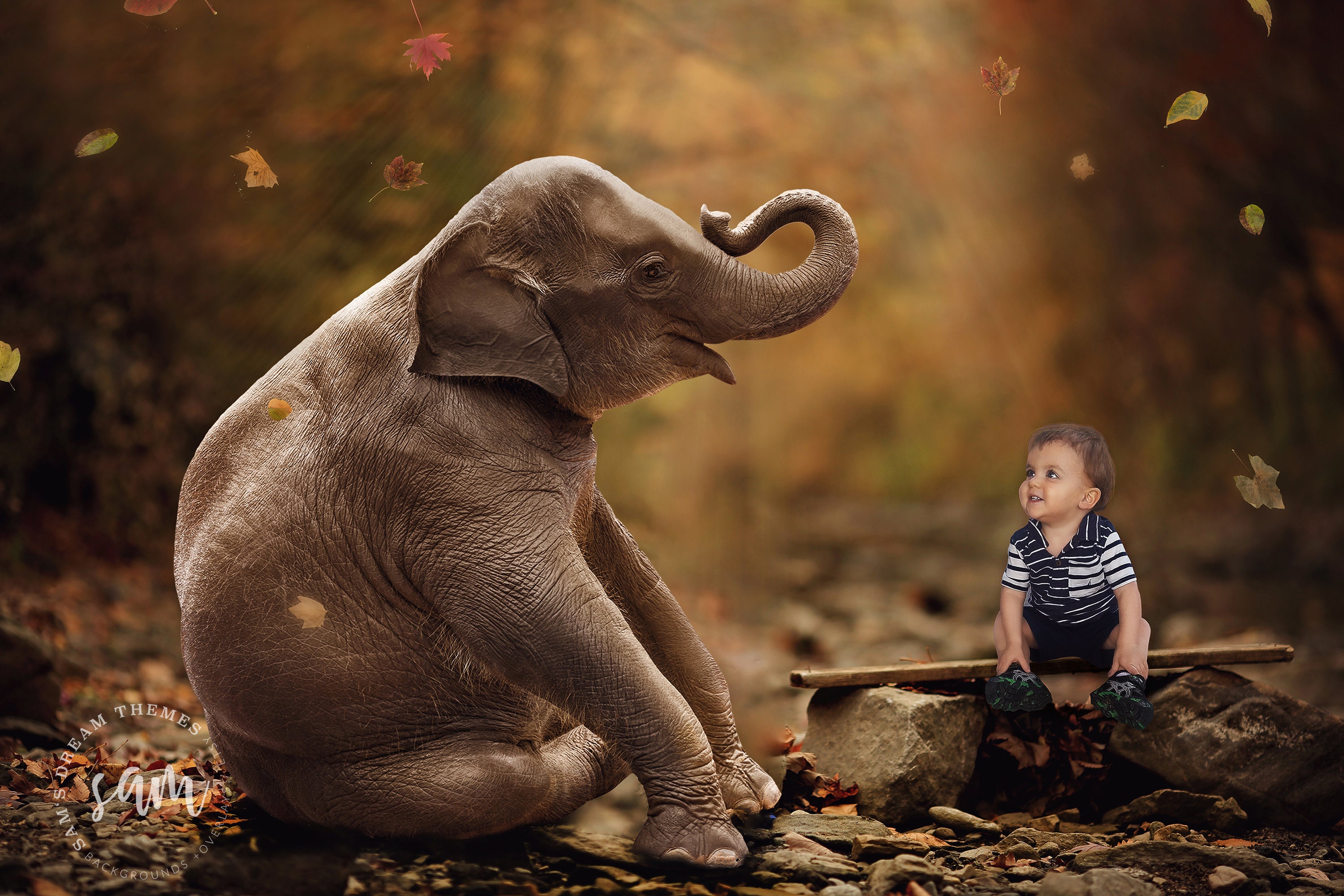 Autumn Baby Elephant Digital Backdrop Elephant Background | Etsy