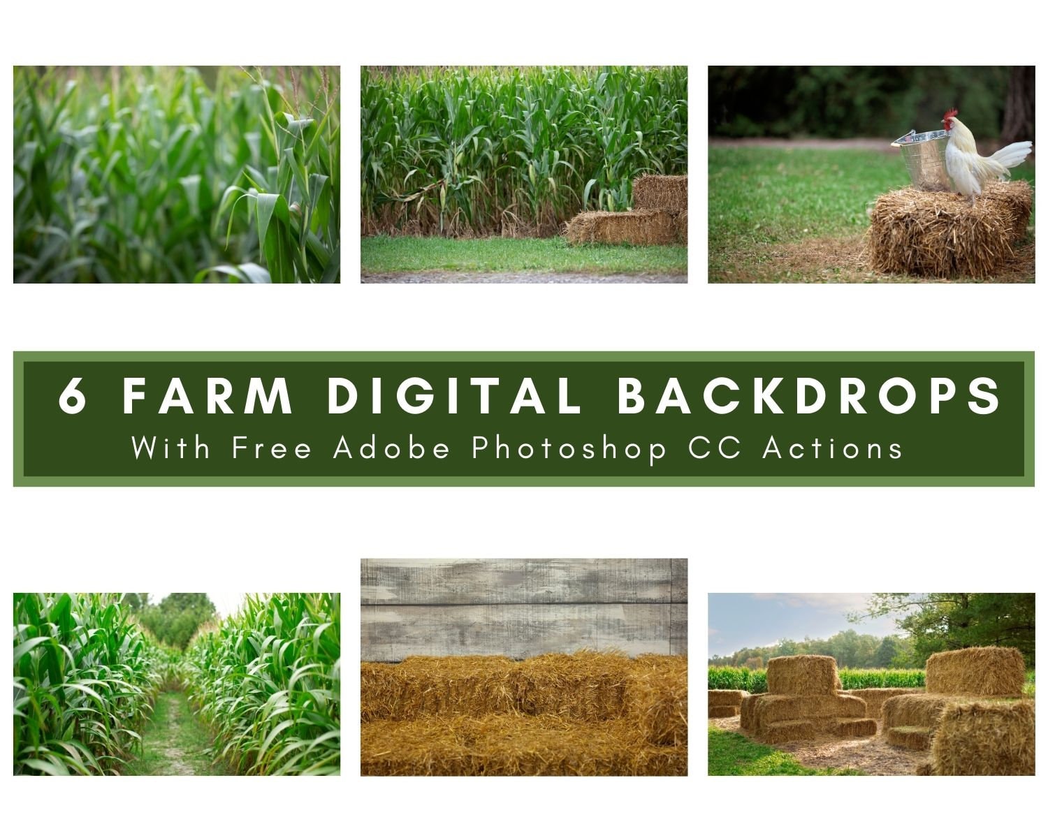 6 Corn Field and Farm Digital Backdrops Bundle - Etsy