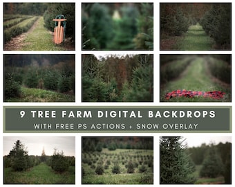 Christmas Tree Farm Photography Backdrop Digital, Tree Lot Printable ...
