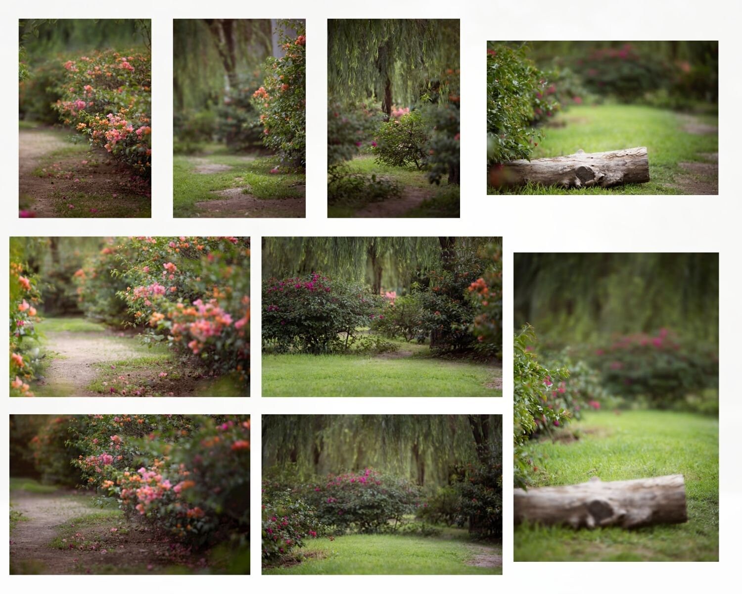18 Spring Garden Path Bundle - Digital Background - Spring Flower Path ...