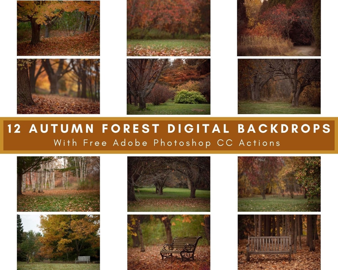 12 Autumn Forest Digital Backgrounds Bundle - Etsy