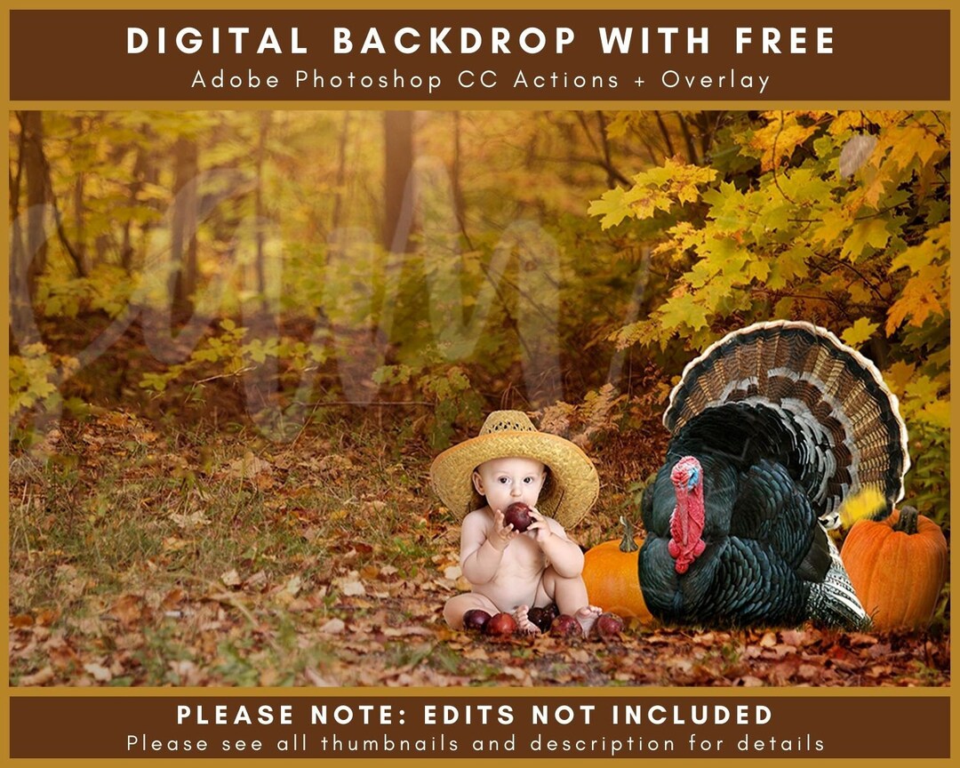 Thanksgiving Turkey in an Autumn Forest Digital Fall Backdrop - Etsy