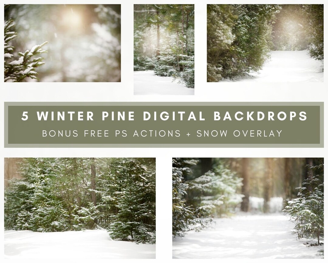 5 Snowy Winter Pine, Backdrops Bundle, Winter Digital, Christmas ...
