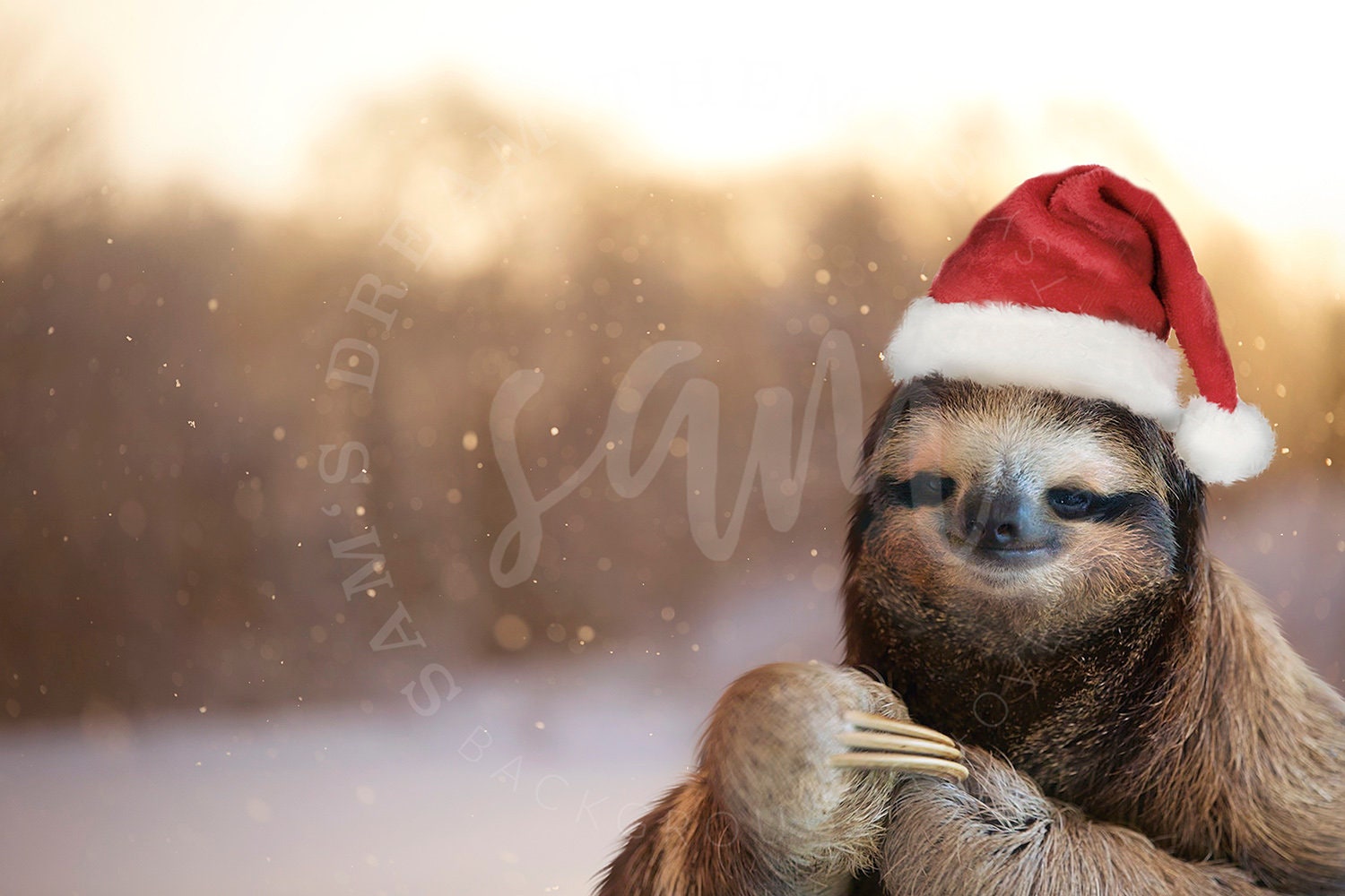 Sloth in a Santa Hat Digital Christmas Backdrop | Etsy