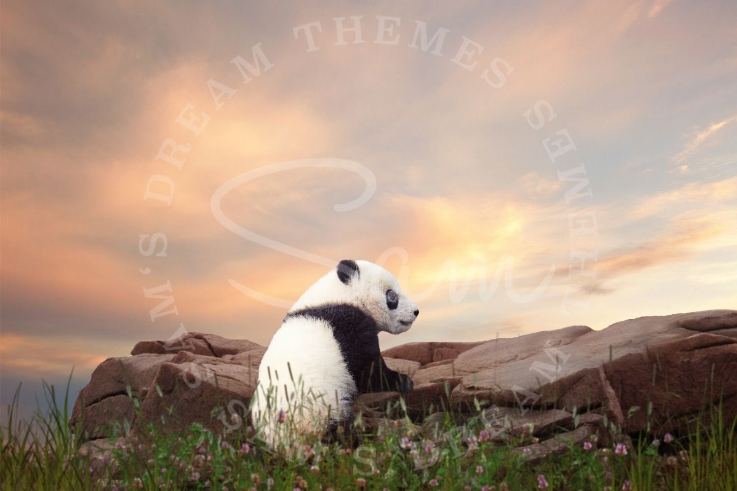Panda at Sunset Digital Backdrops - Etsy