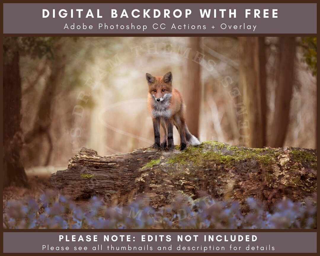 Fox in the Forest Digital Backdrop - Etsy