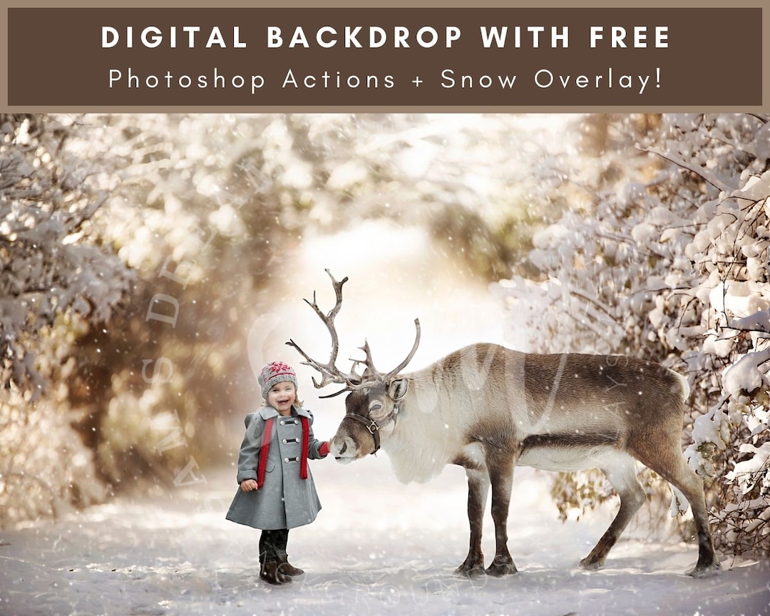 Reindeer in A Bokeh Winter Arch, Digital Background, Christmas Backdrop ...