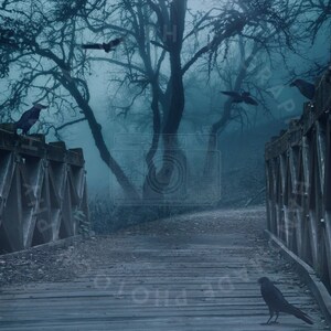 Spooky Halloween Bridge With Black Crows, Halloween Backdrop, Creepy ...