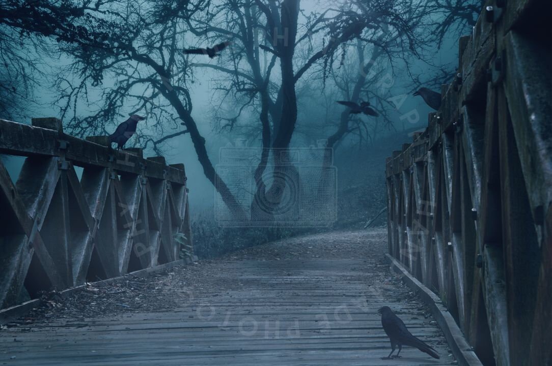 Spooky Halloween Bridge With Black Crows Halloween Backdrop - Etsy