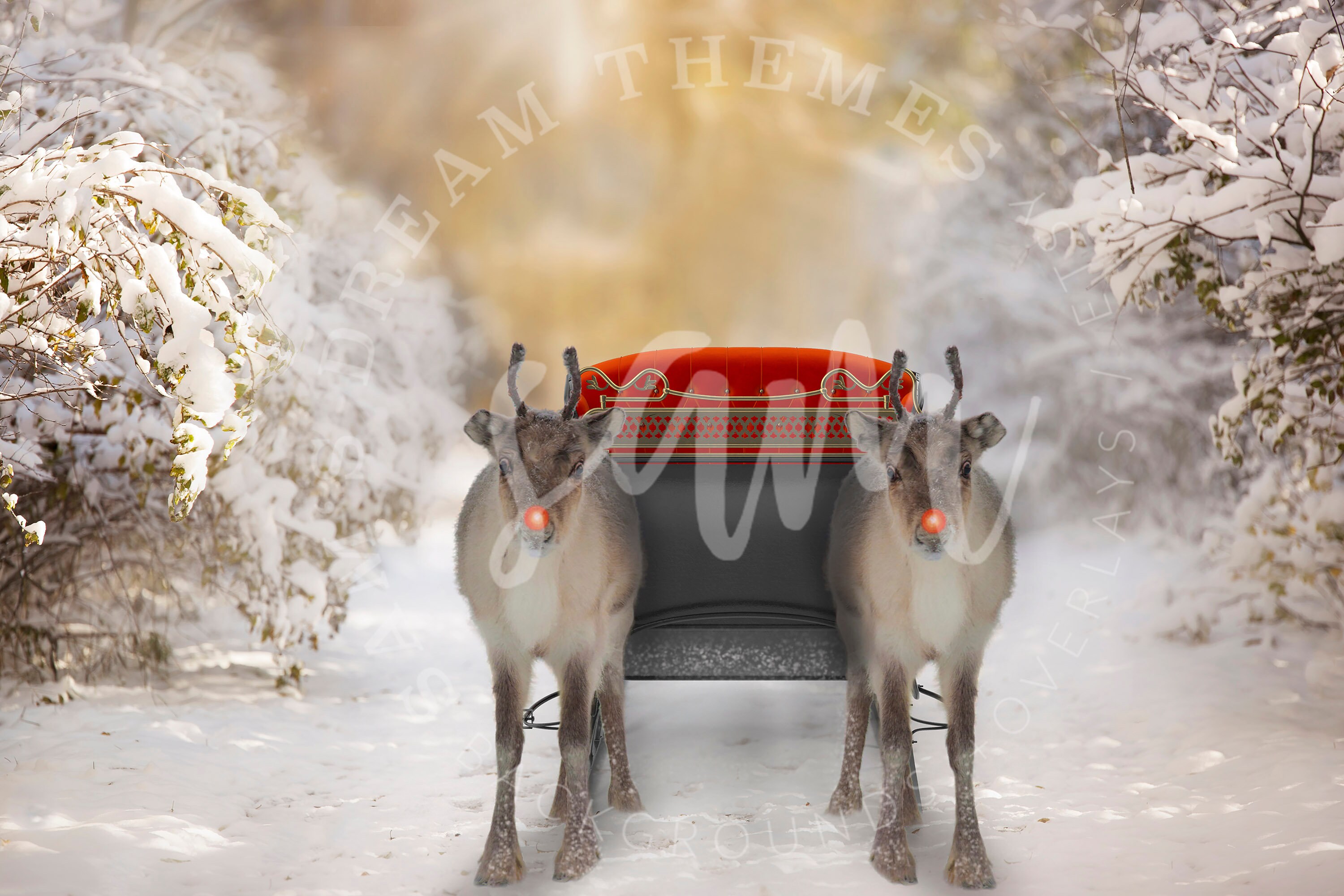 Rudolph Guides the Family Sleigh Ride Digital Christmas - Etsy UK