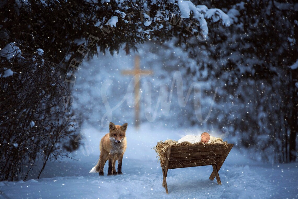 Winter Fox Guarding Baby Jesus Digital Christmas Backdrop - Etsy