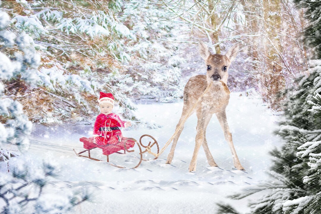 Adorable Christmas Baby Reindeer With Sled in a Snowy Forest - Etsy