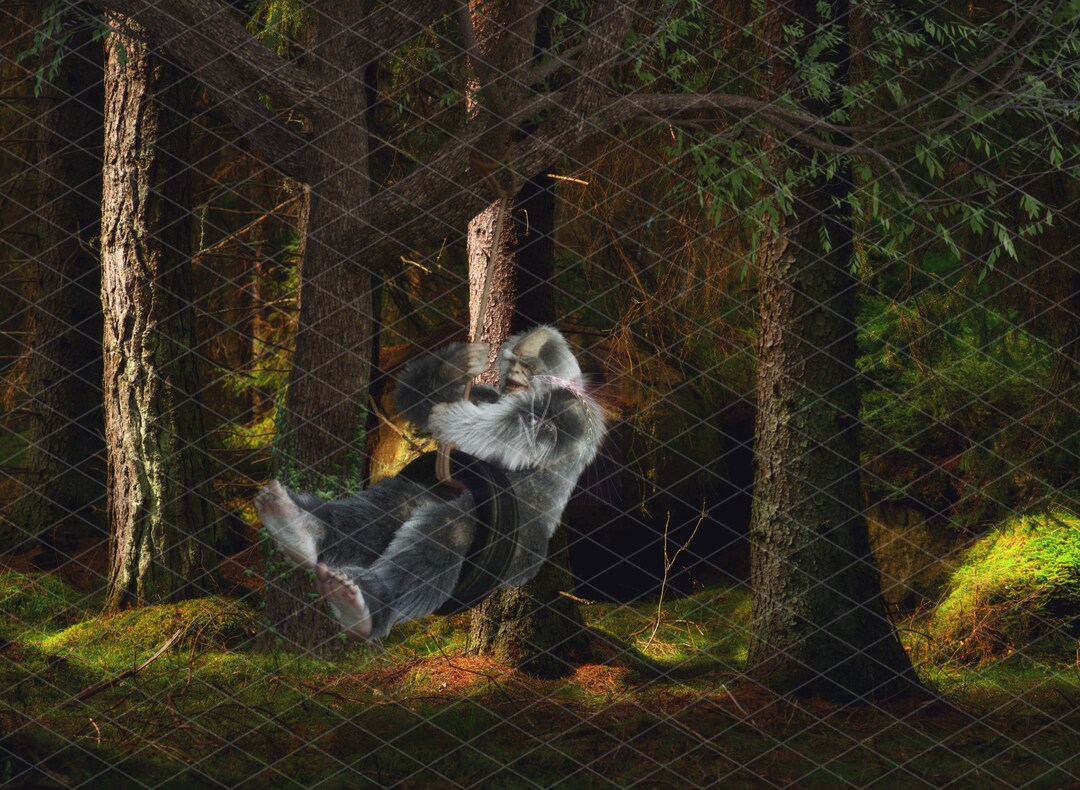 Yeti/bigfoot Playing on a Swing in the Woods Digital - Etsy