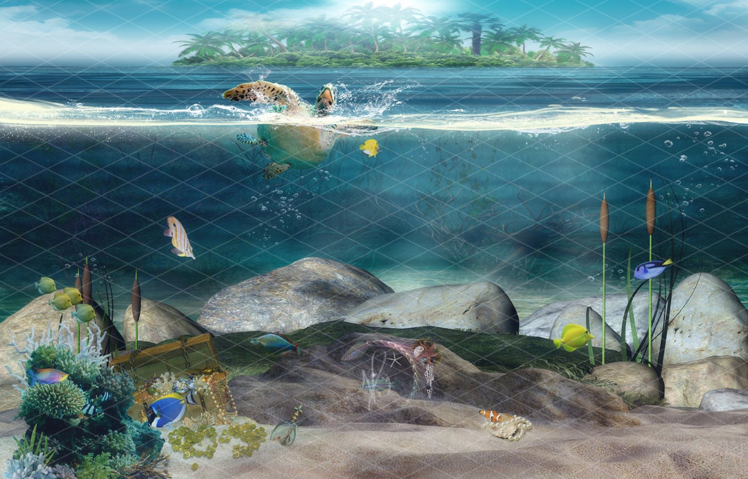 Split Sea Scene With Turtle, Treasure and Fish, Perfect for a Mermaid ...