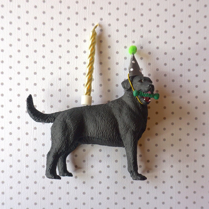 Black Lab Birthday Cake - Etsy