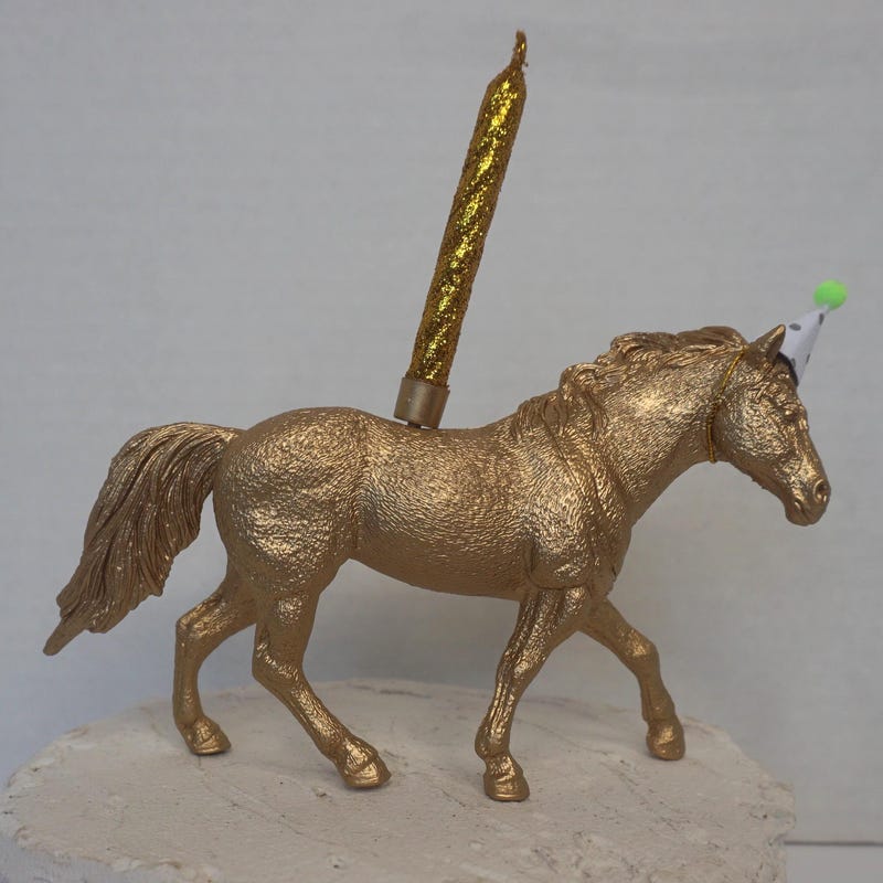 Horse Candles Cake - Etsy