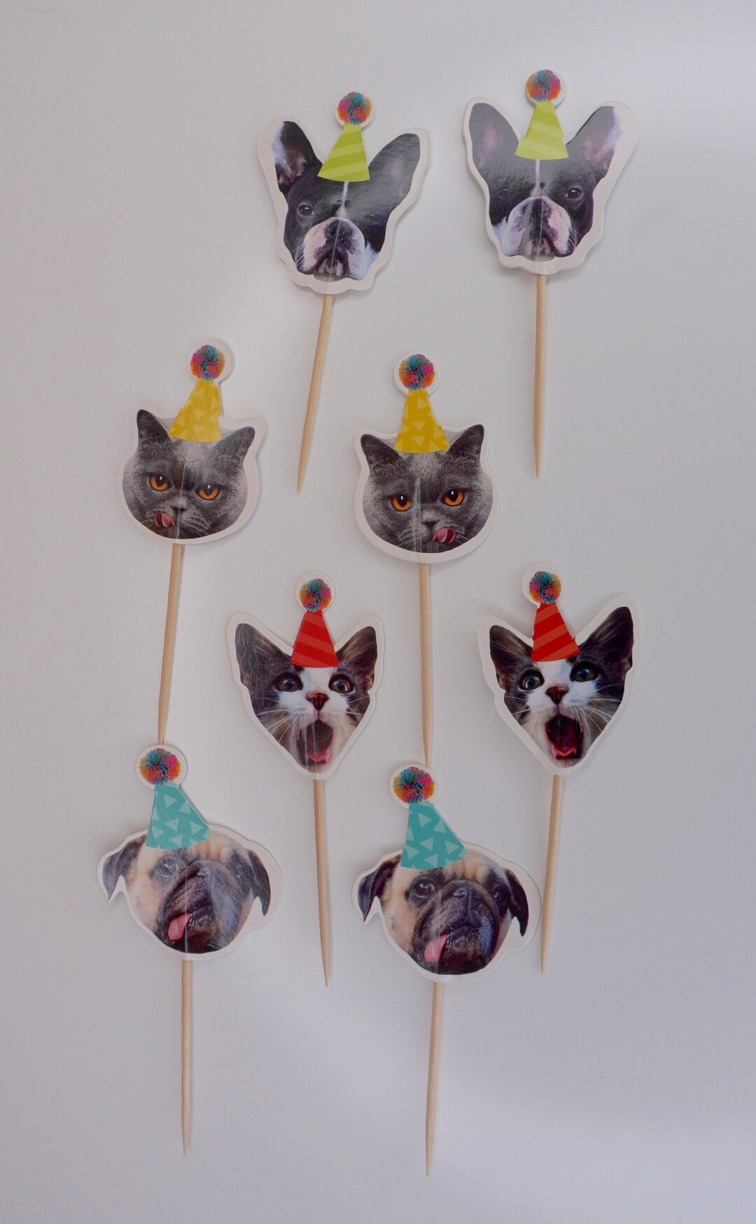 Fiesta de perros, fiesta de cachorros, pug, tema de gatos, tema de ...