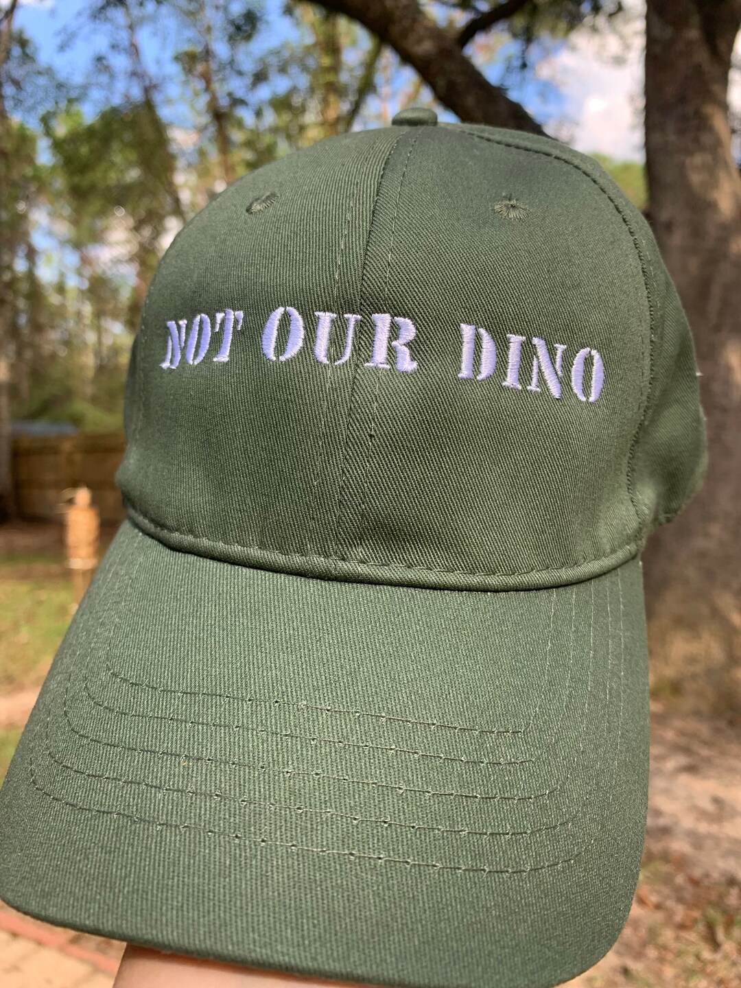 Dinosaur Hat/ Not Our Dino/ Dinosaur Embroidered Hat - Etsy