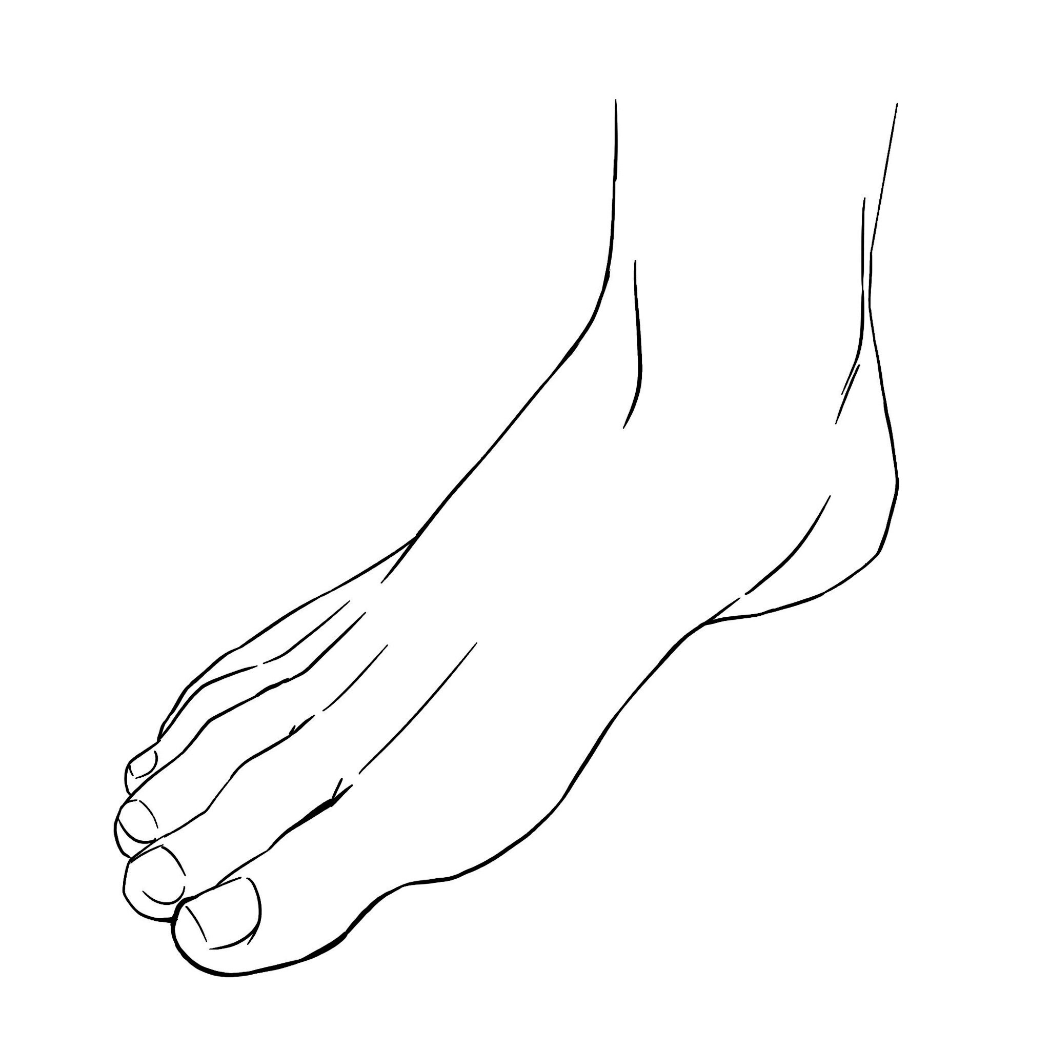 Anime Feet Stamps for Procreate, Brushes, Anatomy Stamps, Pose, Head ...