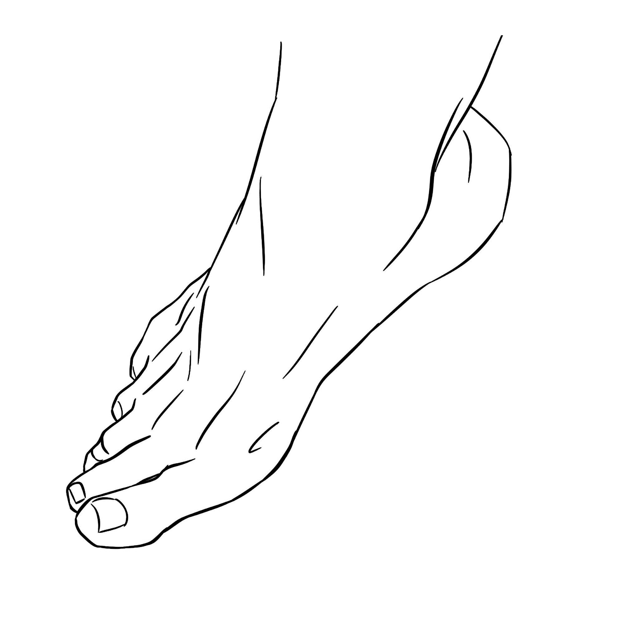 Anime Feet Stamps for Procreate, Brushes, Anatomy Stamps, Pose, Head ...