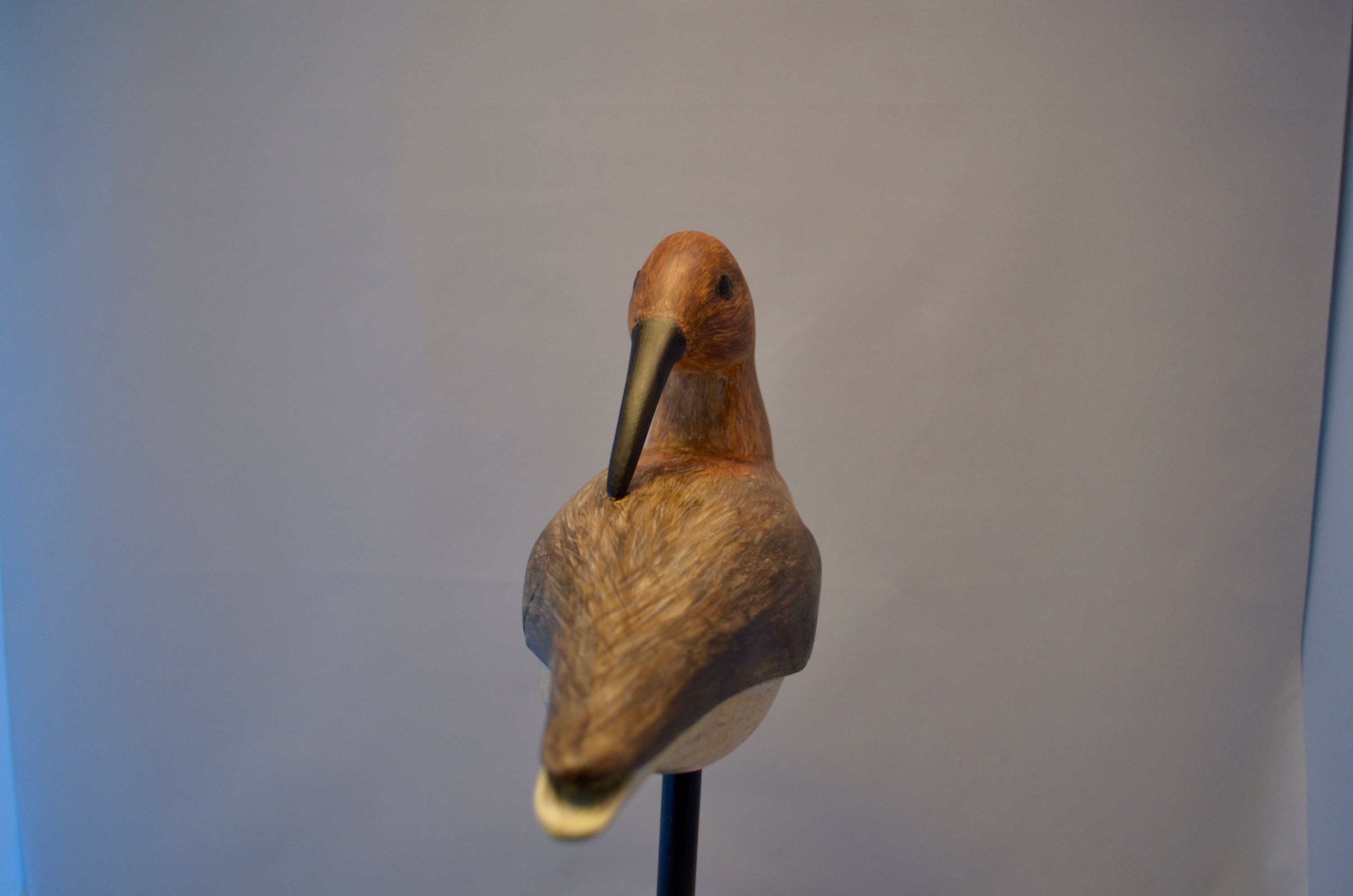 Ducks, Shore Birds, Curlew, Wood Carvings, Realistic Birds, Hand Made ...