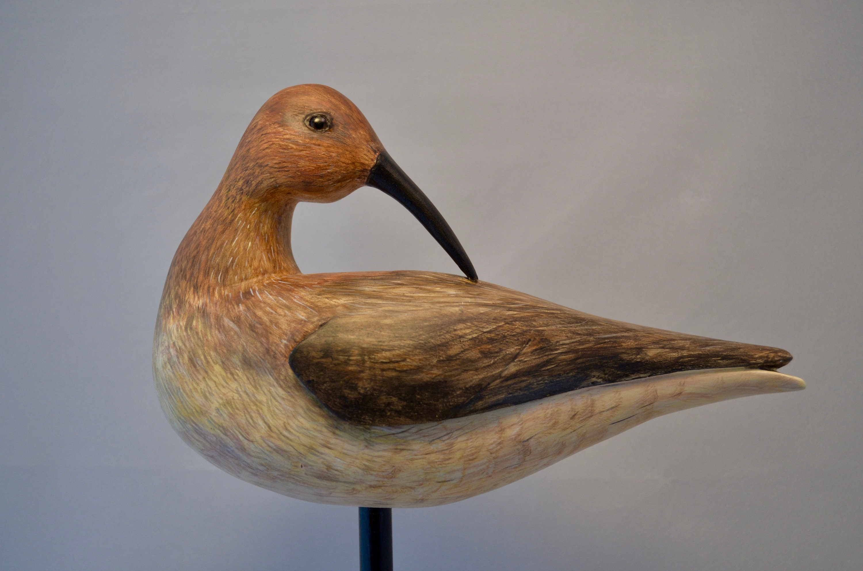 Ducks, Shore Birds, Curlew, Wood Carvings, Realistic Birds, Hand Made ...