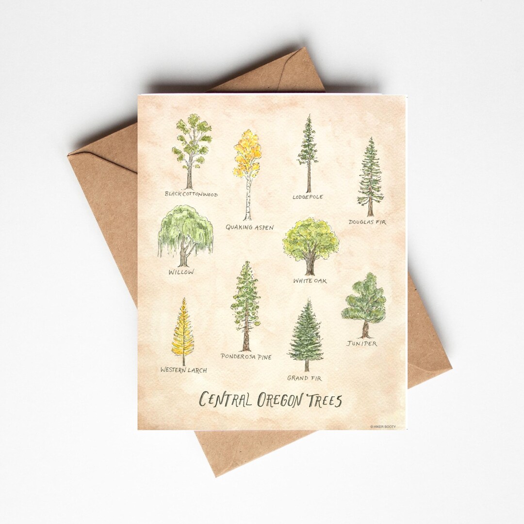 Central Oregon Tree Chart Greeting Cards 5PK - Etsy