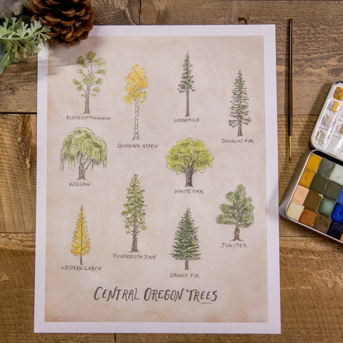 Oregon Tree Collage | Etsy