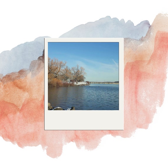 Polaroid Pictures Nature