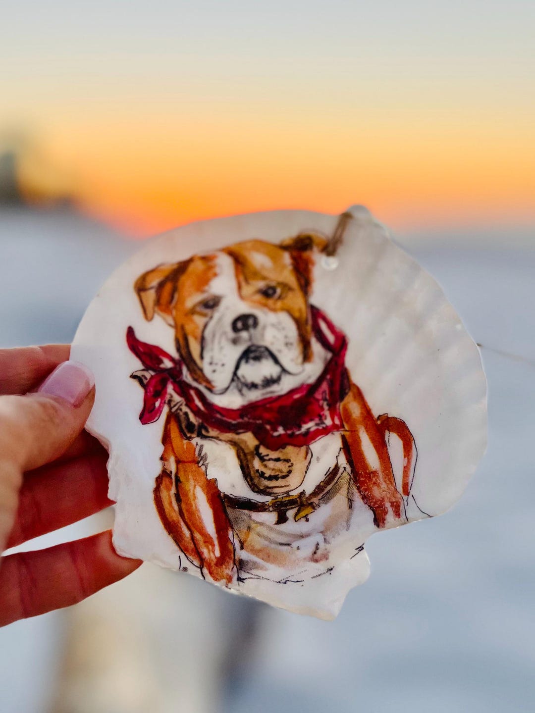 Bulldog Shell Ornament - Etsy
