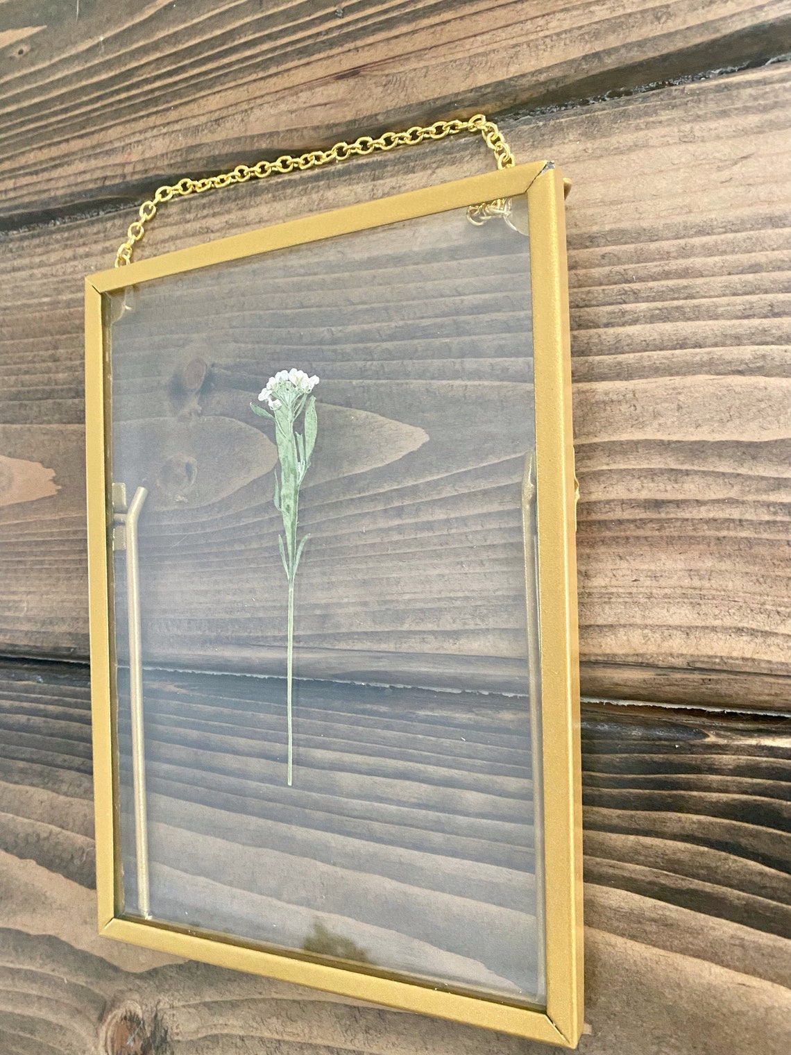 Simple White Flower in Gold Float Frame - Etsy