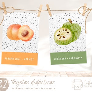 Fruit Flashcards, Flash Cards, 32 Montessori Learning Cards ...