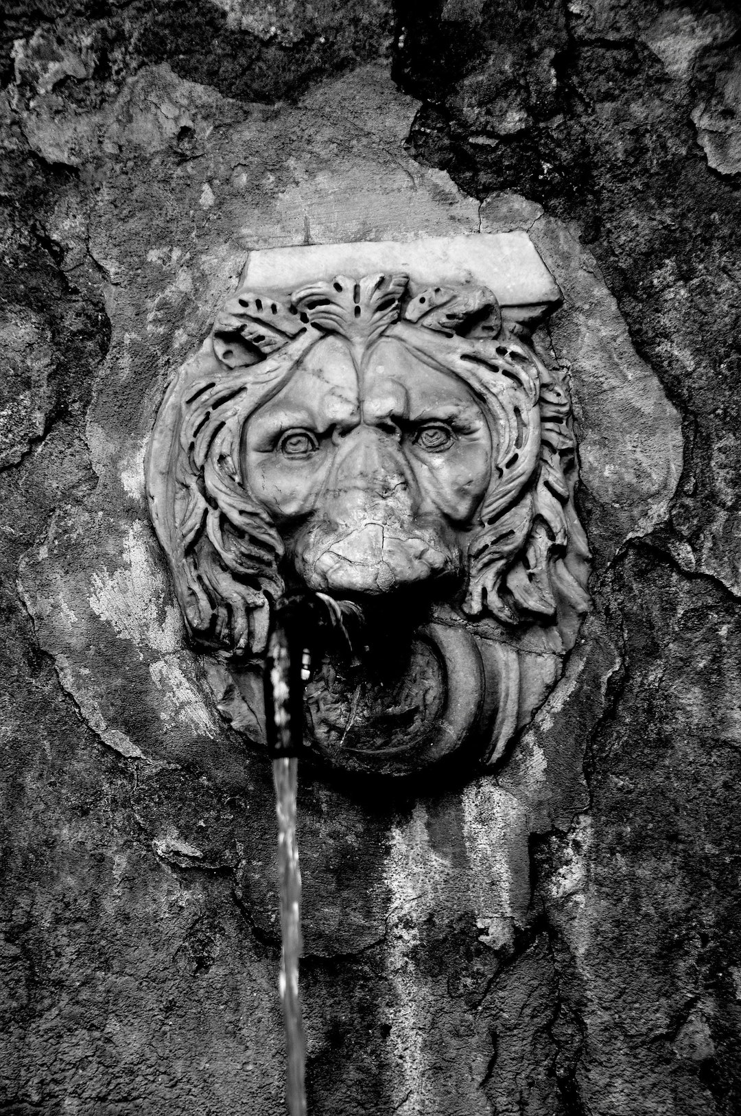 Water Trough Delivery System Rome Italy 6680B - Etsy