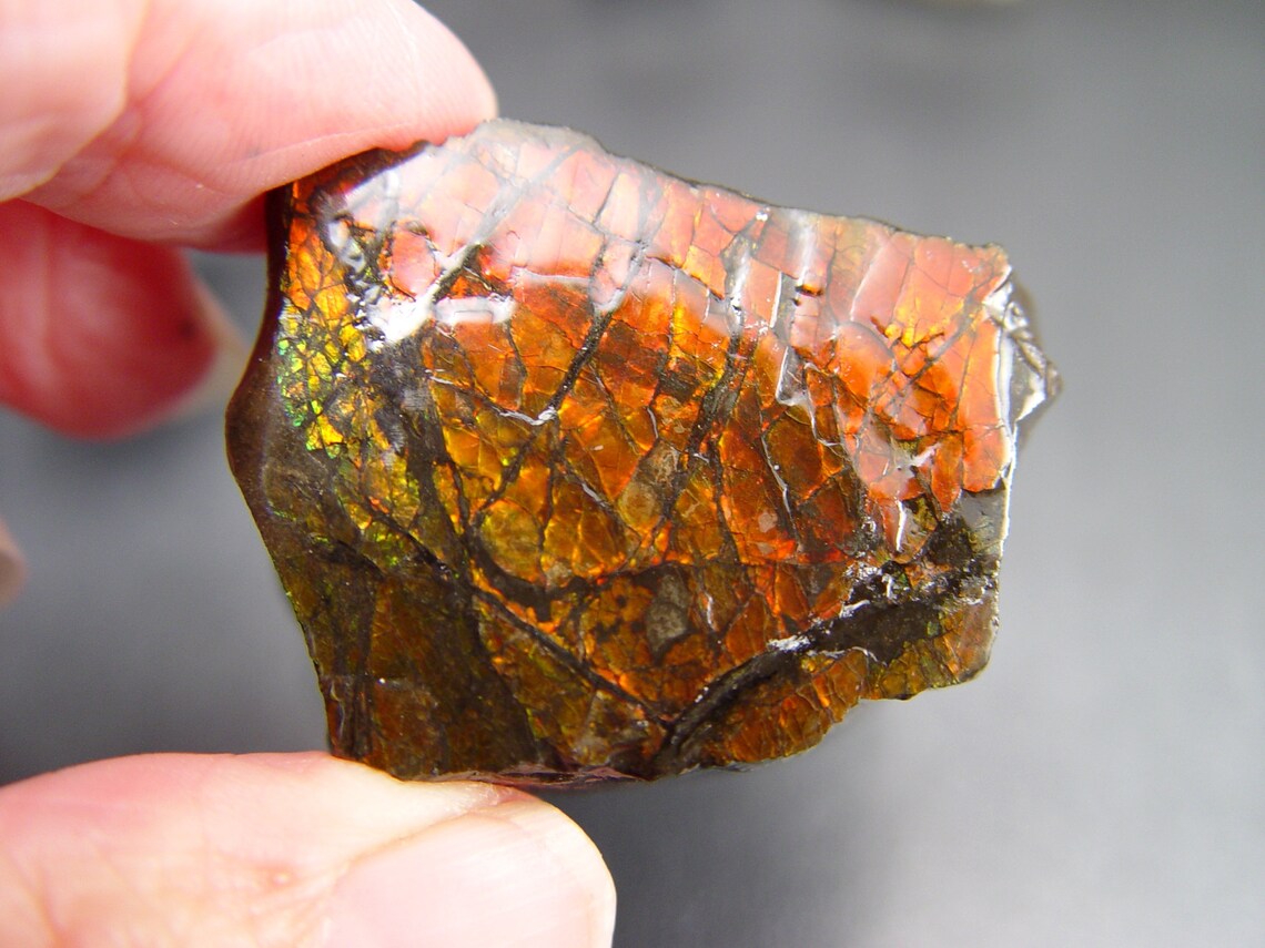 AmMOLITA Imperial OPALIZADA Gran Piedra Preciosa Arco Iris - Etsy España