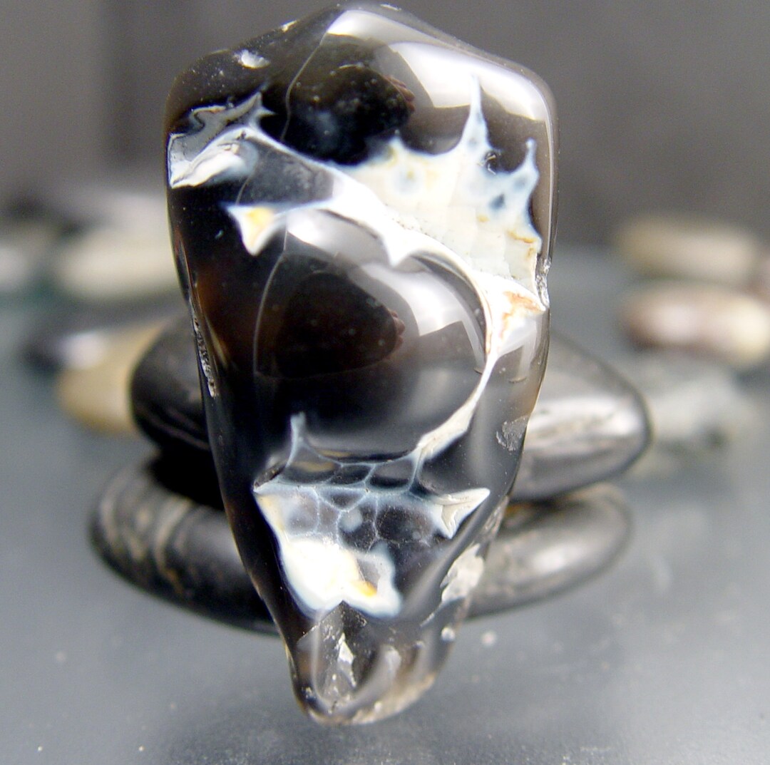 Tampa Bay Coral BOTRYOIDAL SHAPE Chunk 88 Carats Great for Wire Wrap or ...