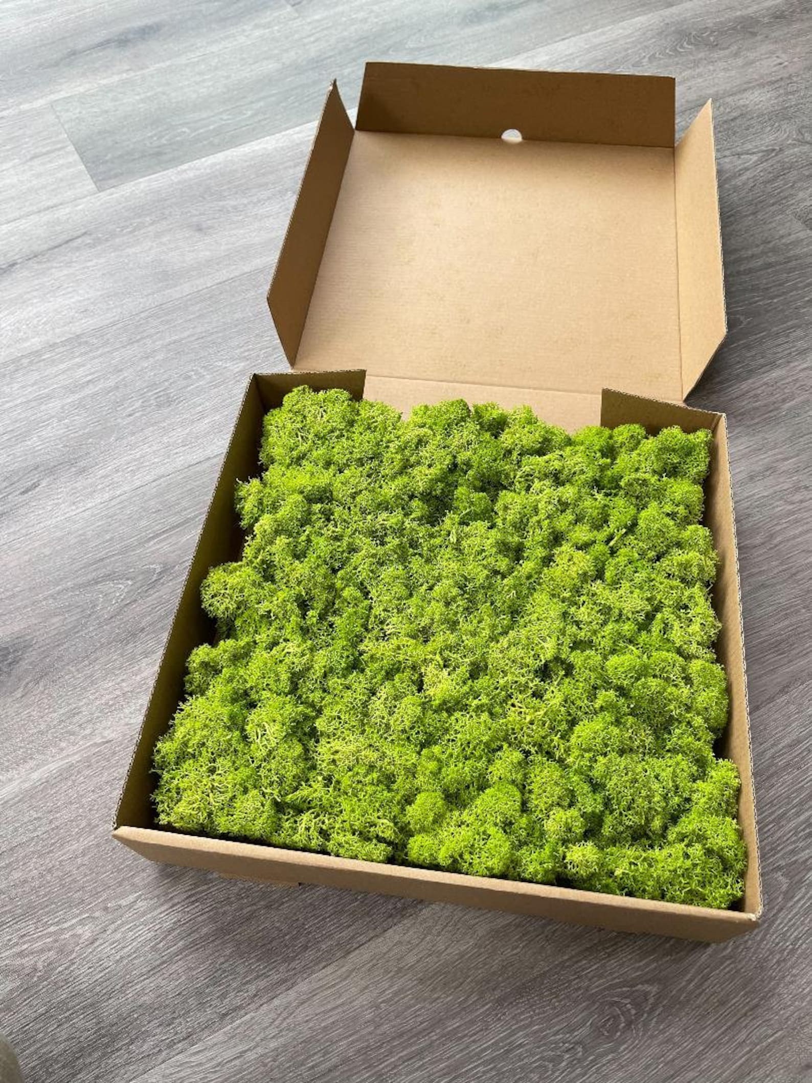 Moss Tile Self Adhesive Moss Wall Decor Preserved Moss - Etsy