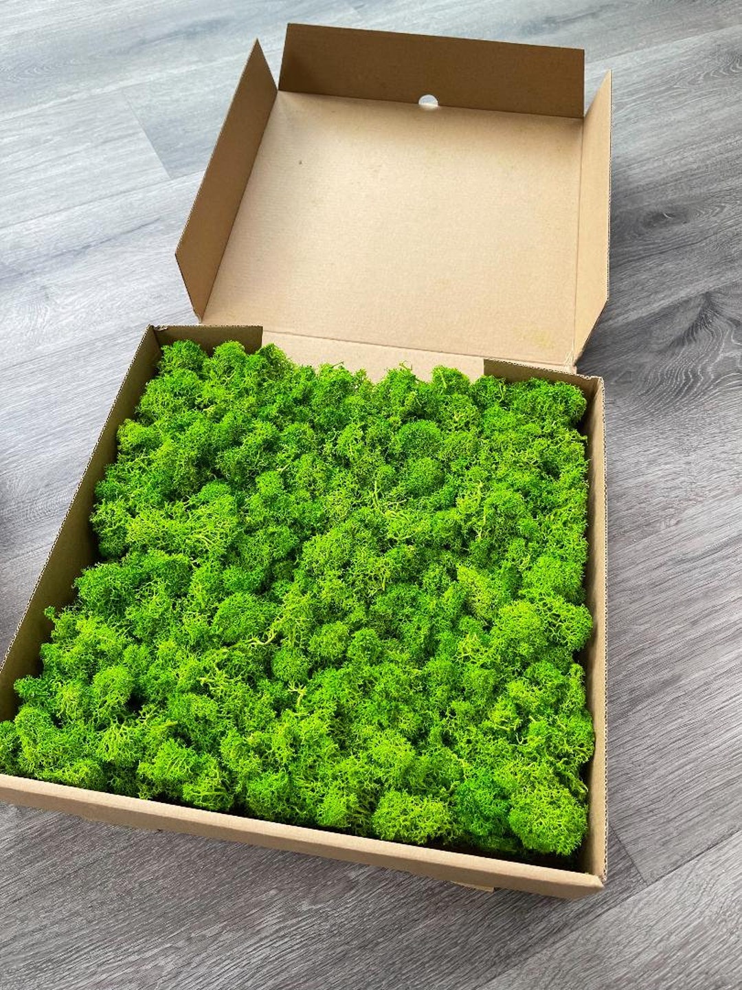 Moss Tile Self Adhesive Moss Wall Decor Preserved Moss Stabilised Moss Scandinavian Moss - Etsy