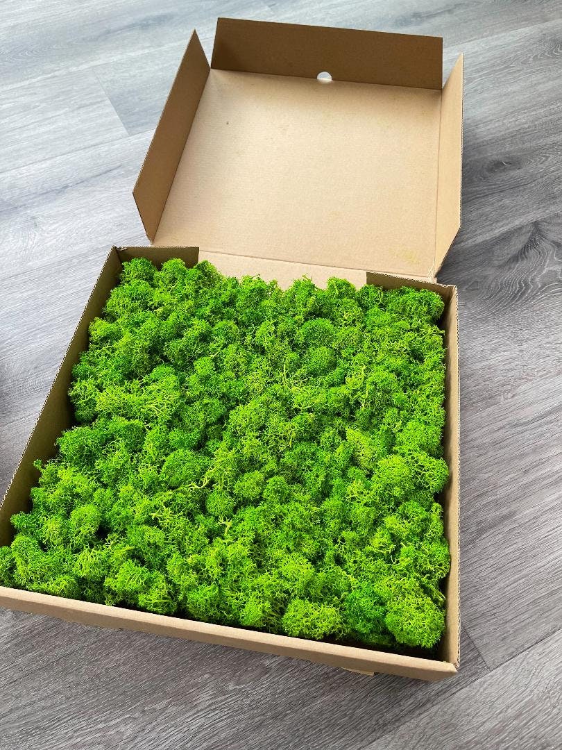 Moss Tile Self Adhesive Moss Wall Decor Preserved Moss Stabilised Moss ...