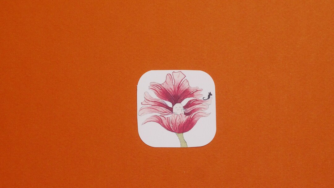 Peak-a-boo 4cm Singular Vinyl Sticker - Etsy