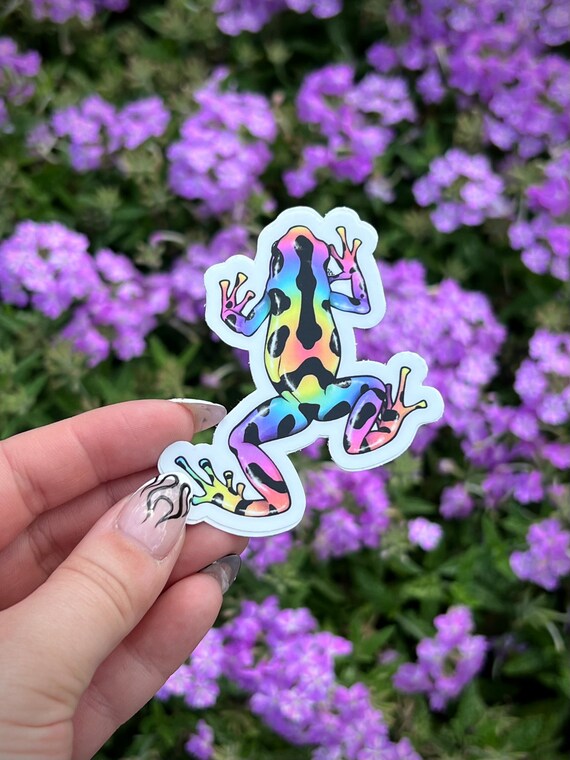 Rainbow Tree Frog Sticker - Etsy