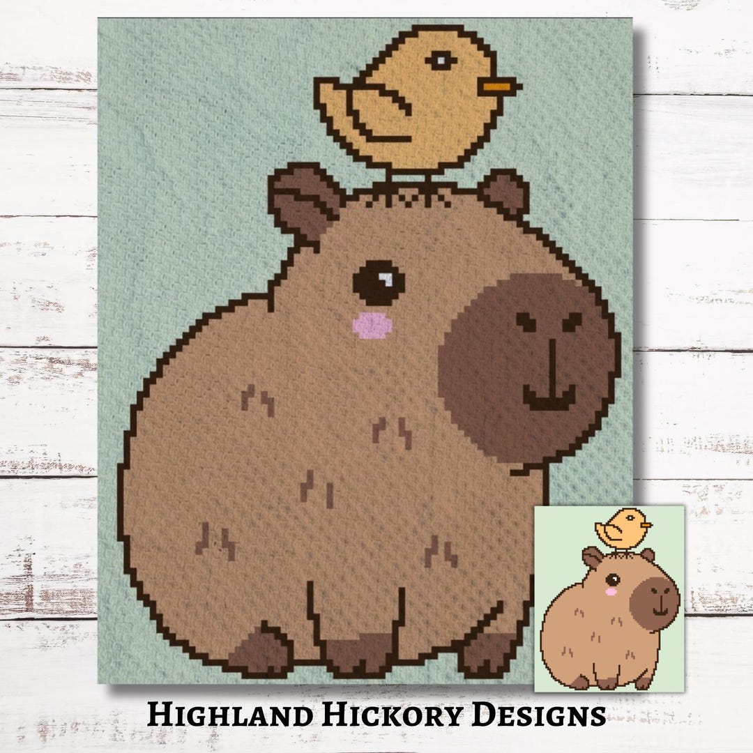 Capybara Graph Crochet Pattern C2C Graphgan + Written Instructions ...