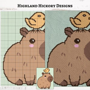 Capybara Graph Crochet Pattern C2C Graphgan + Written Instructions ...