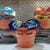 Sassy Lady Pots - Etsy